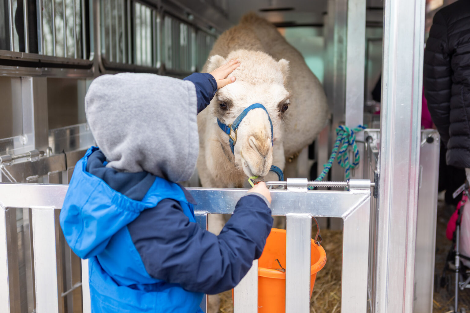 Empowerment Network’s Step-Up Omaha Program to connect 1,000 youth to ...